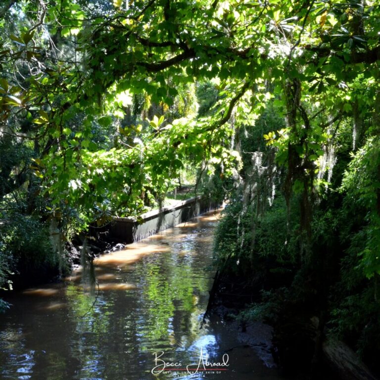 Tigre Delta: The Ultimate Day Trip from Buenos Aires - Becci Abroad