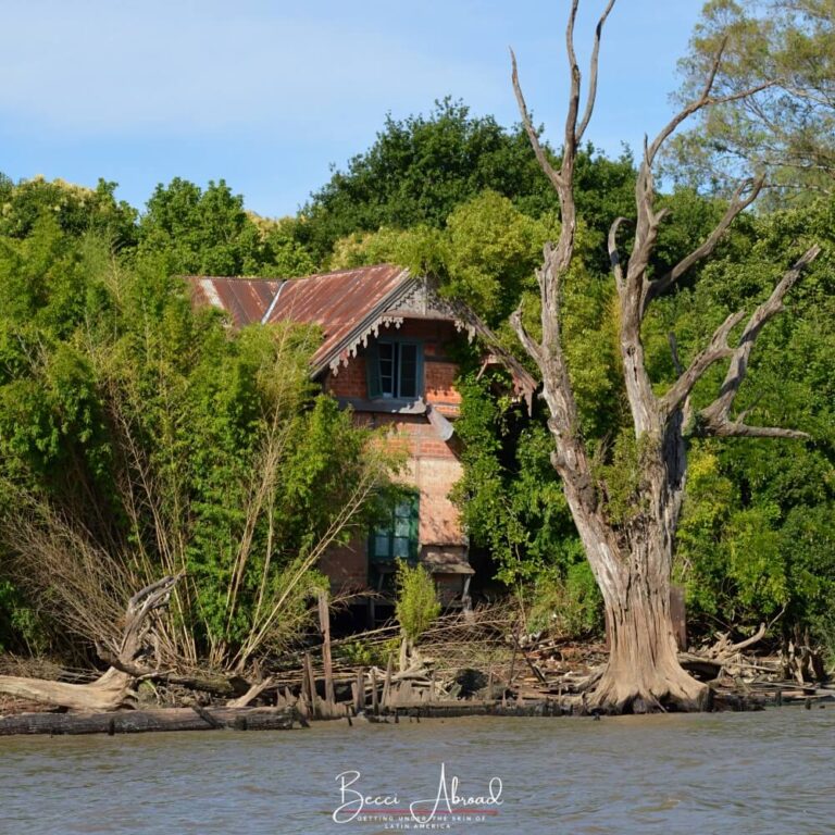 Tigre Delta: The Ultimate Day Trip from Buenos Aires - Becci Abroad