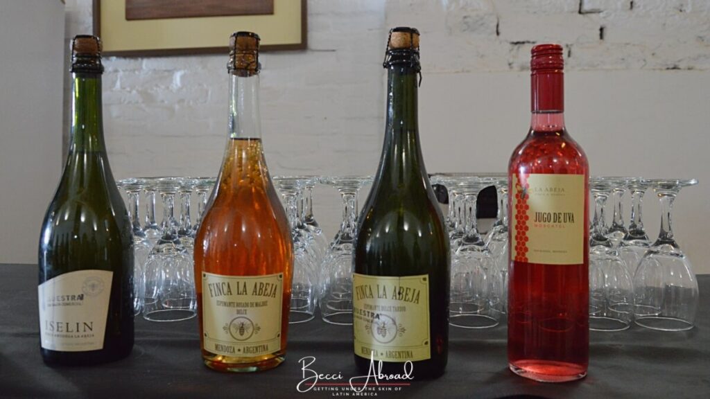 What to Do in San Rafael, Mendoza (Argentina) - Becci Abroad