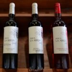 The Best Things to Do in San Rafael, Argentina