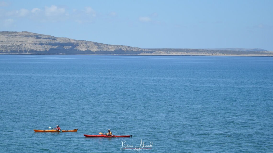 Peninsula Valdés in Argentina: The Complete Travel Guide