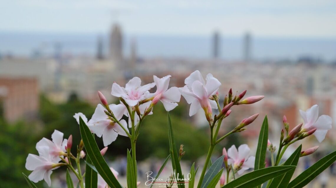 The Best Girls' Getaway to Barcelona: A 4-Days Itinerary